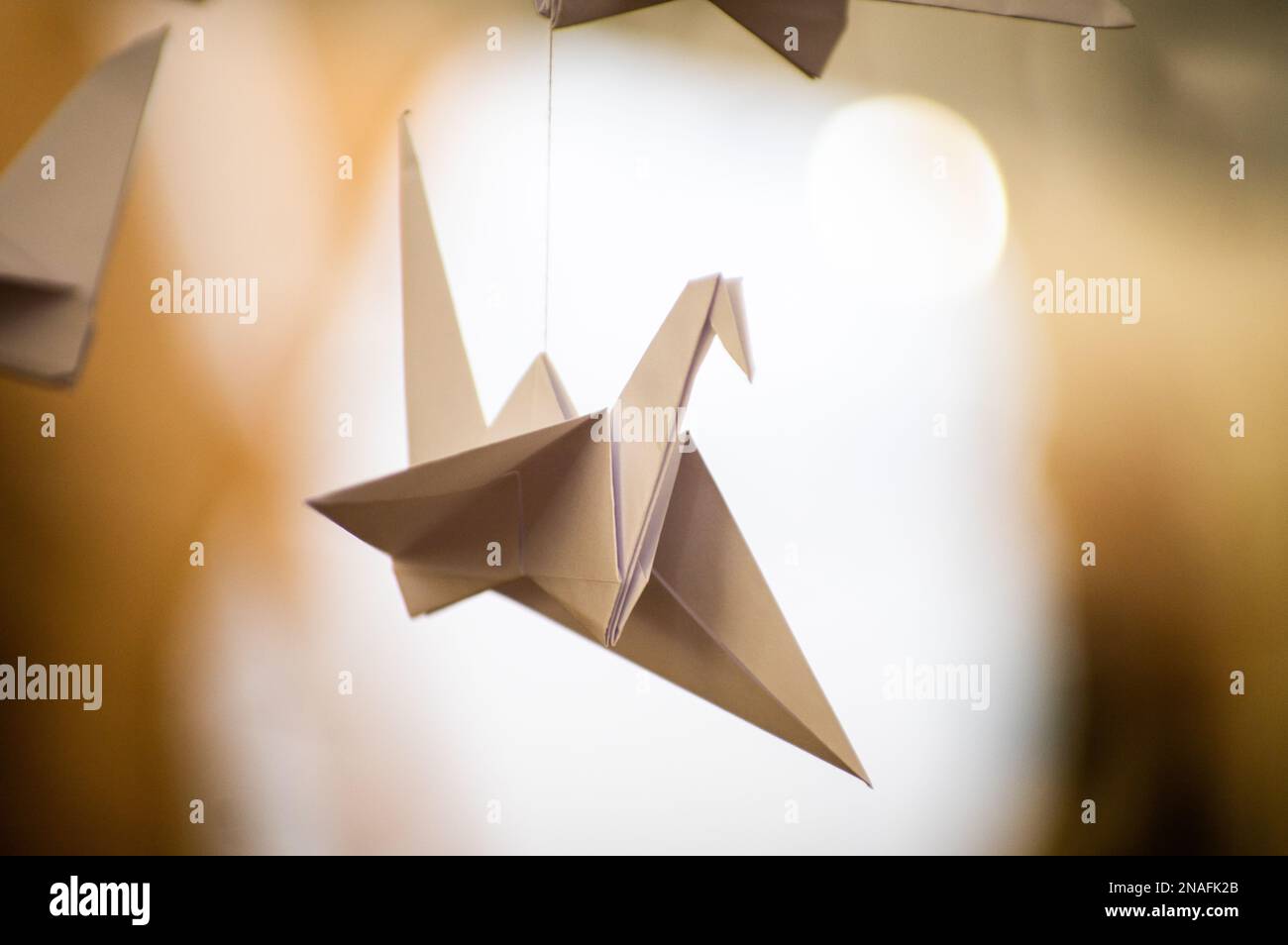 Japanese folded Origami cranes hanging on with strings. Hundreds ...