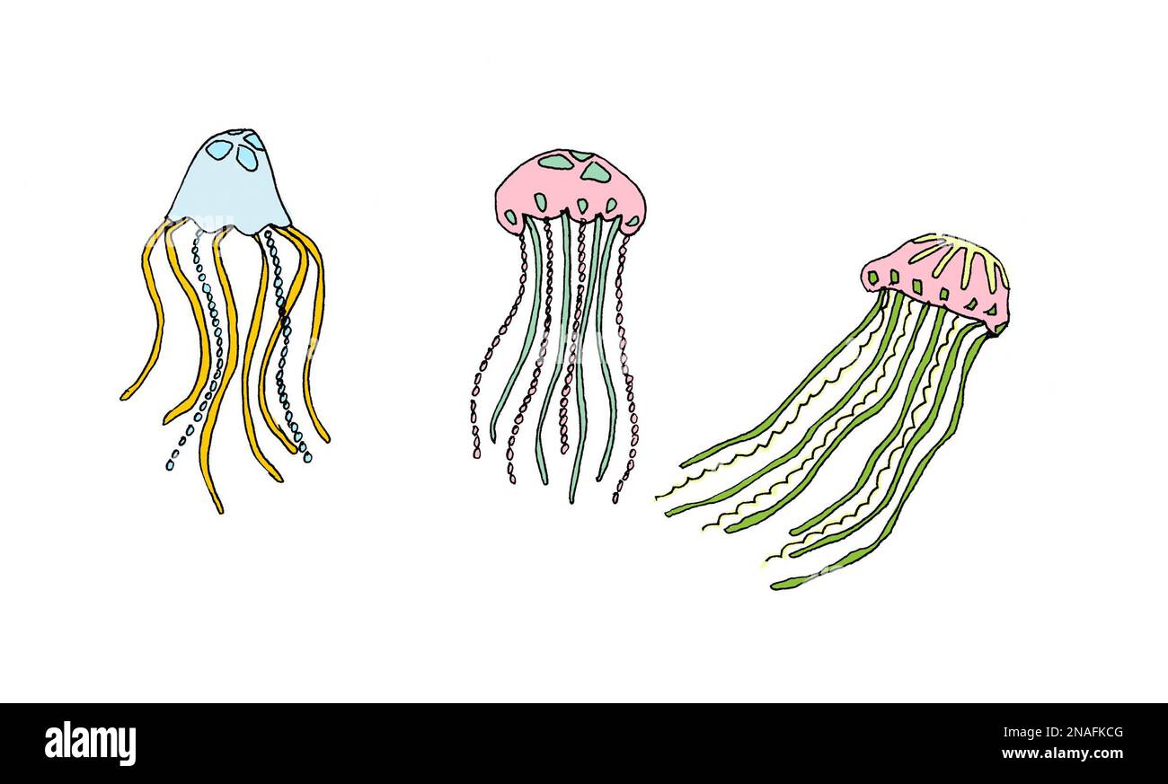 Illustration of three jelly fish Stock Photo - Alamy