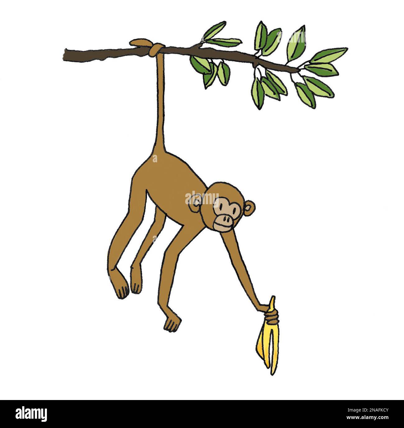 Illustration of a hanging monkey Stock Photo - Alamy