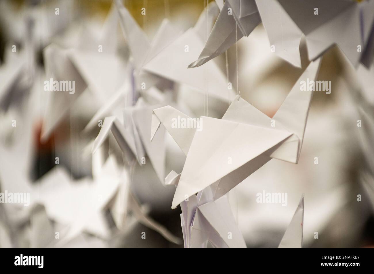 Japanese folded Origami cranes hanging on with strings. Hundreds ...