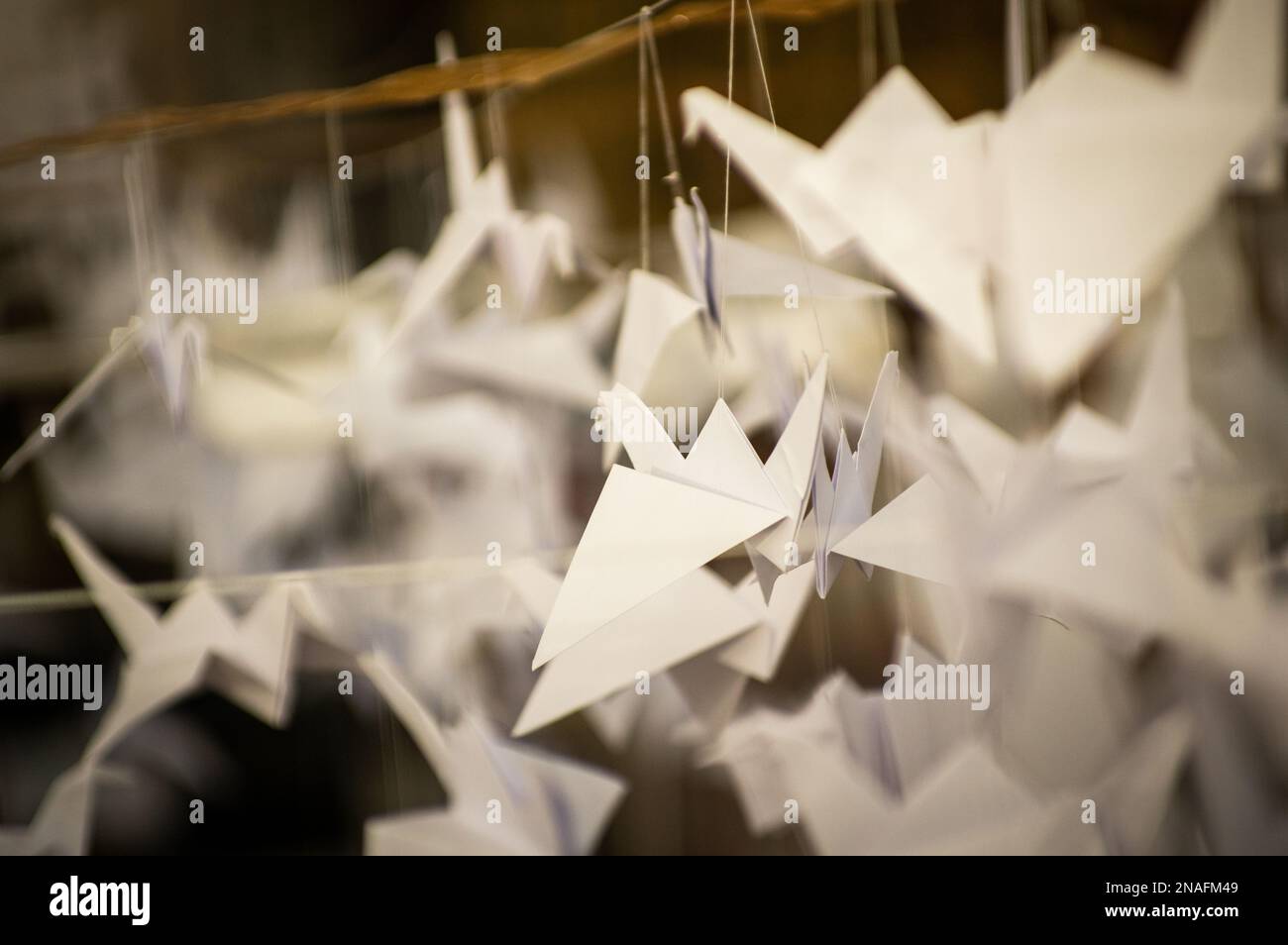 Japanese folded Origami cranes hanging on with strings. Hundreds ...