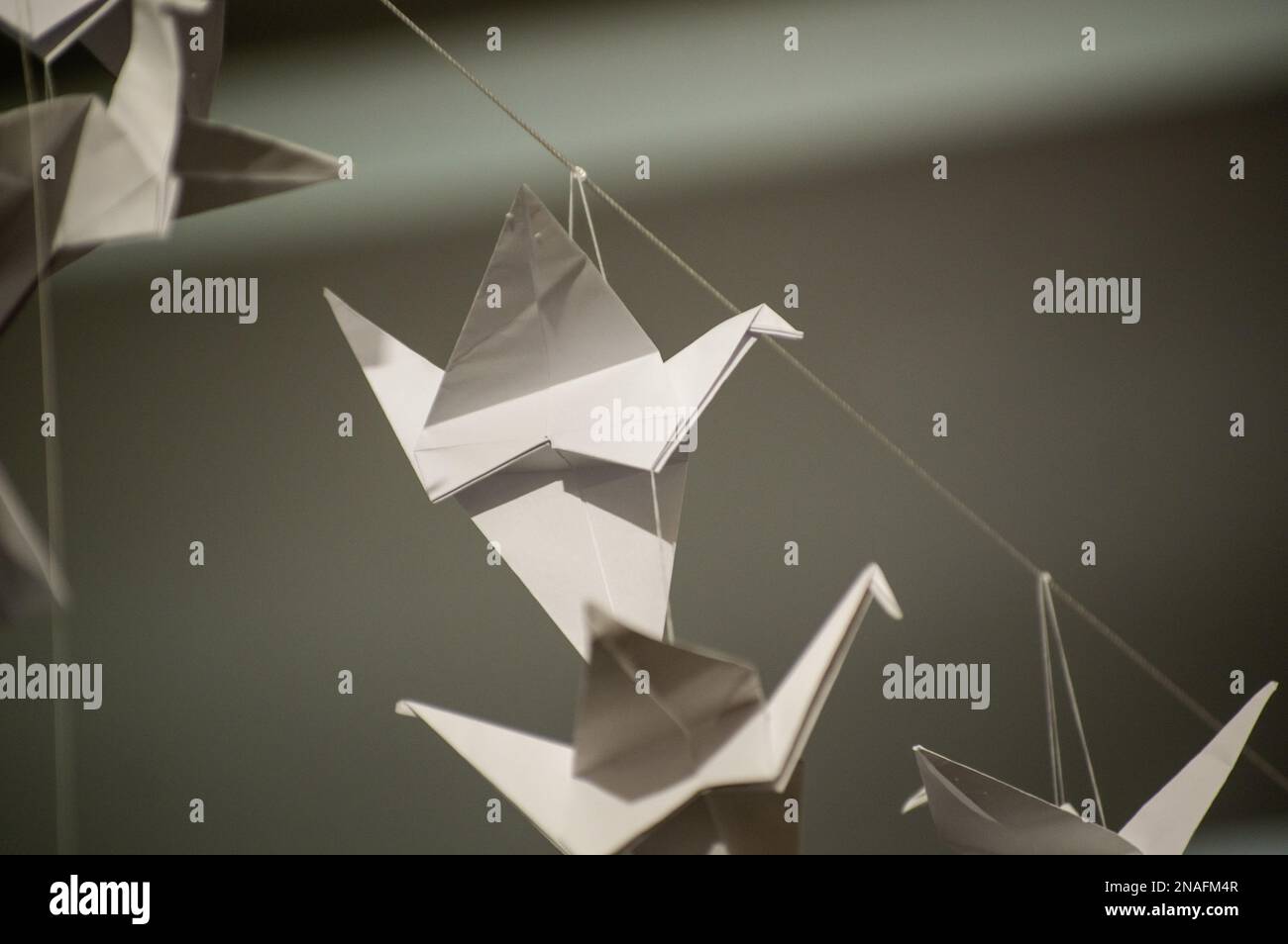 Japanese folded Origami cranes hanging on with strings. Hundreds ...