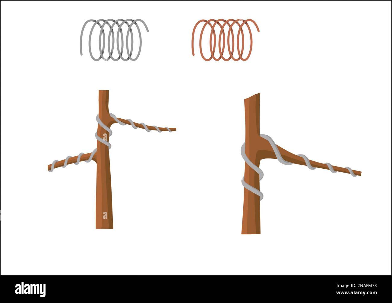 Structural wiring of branches Stock Photo - Alamy