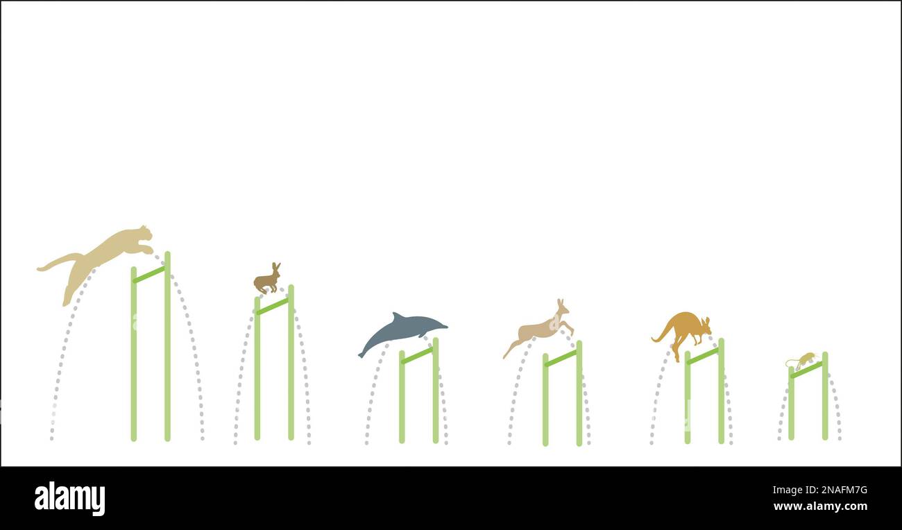 Highest jumping animals Stock Photo - Alamy