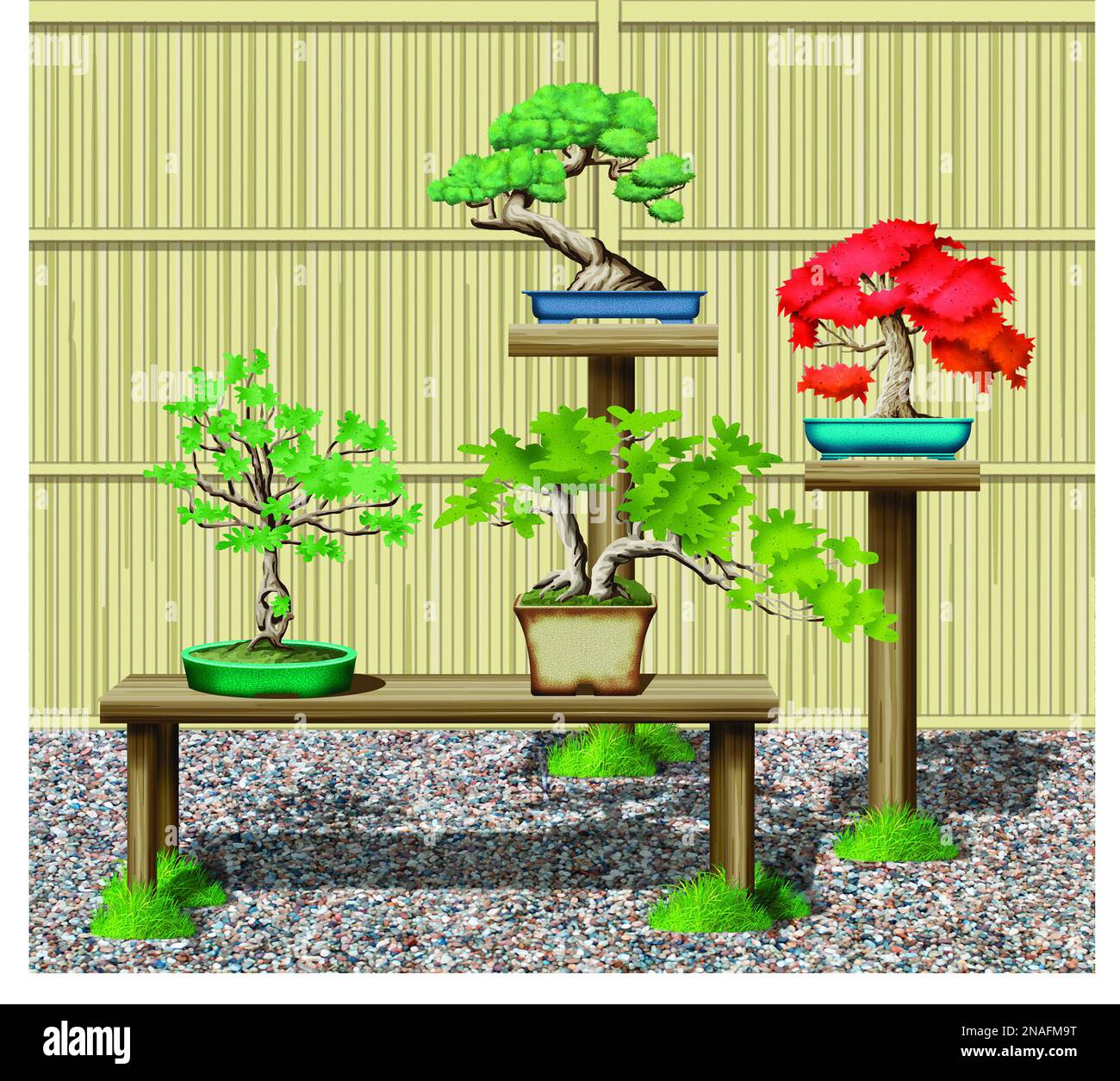 Outdoor bonsai display Stock Photo - Alamy
