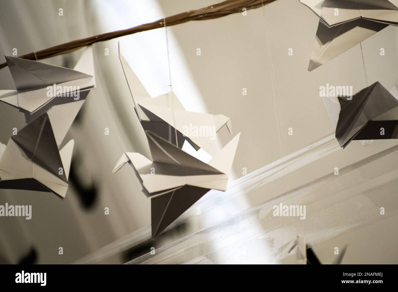 Japanese folded Origami cranes hanging on with strings. Hundreds ...