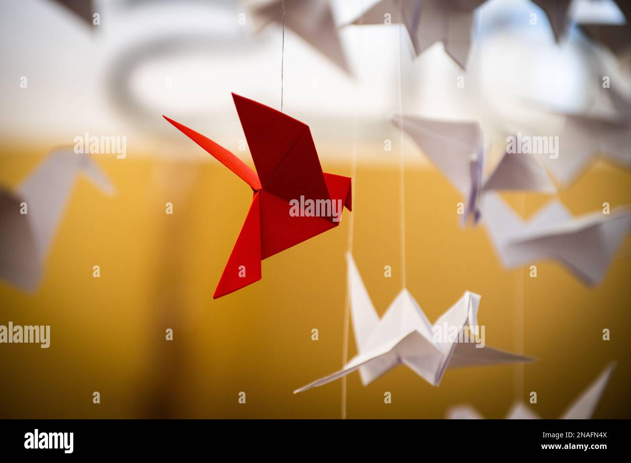 Japanese folded Origami cranes hanging on with strings. Hundreds ...