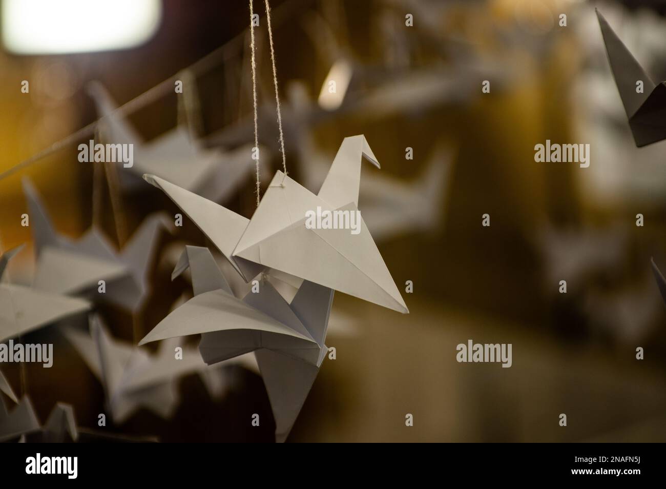 Japanese folded Origami cranes hanging on with strings. Hundreds ...