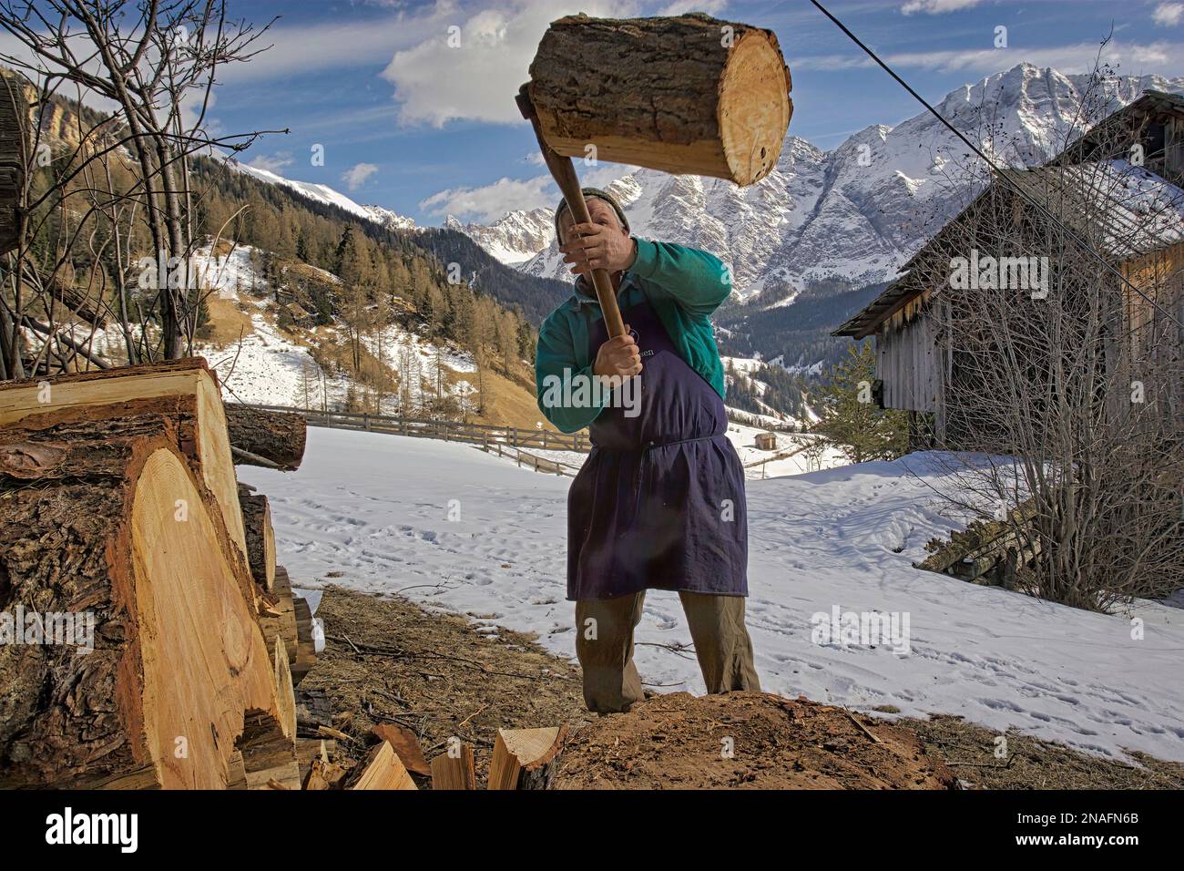 Farmer splits logs for firewood to heat the farm through winter in an ...