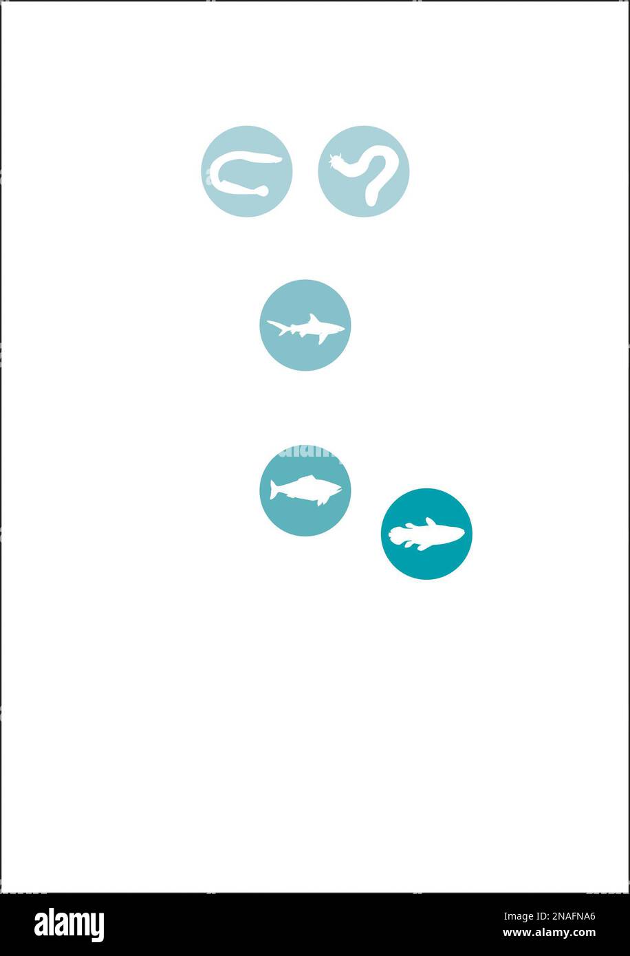 Cladistic classification of vertebrates Stock Photo - Alamy