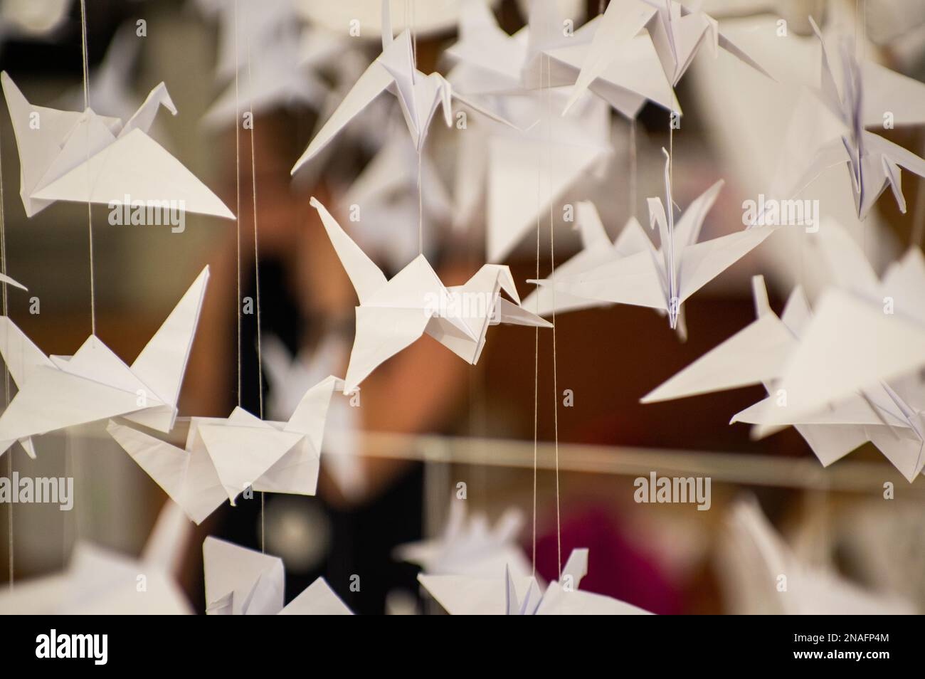 Japanese folded Origami cranes hanging on with strings. Hundreds ...