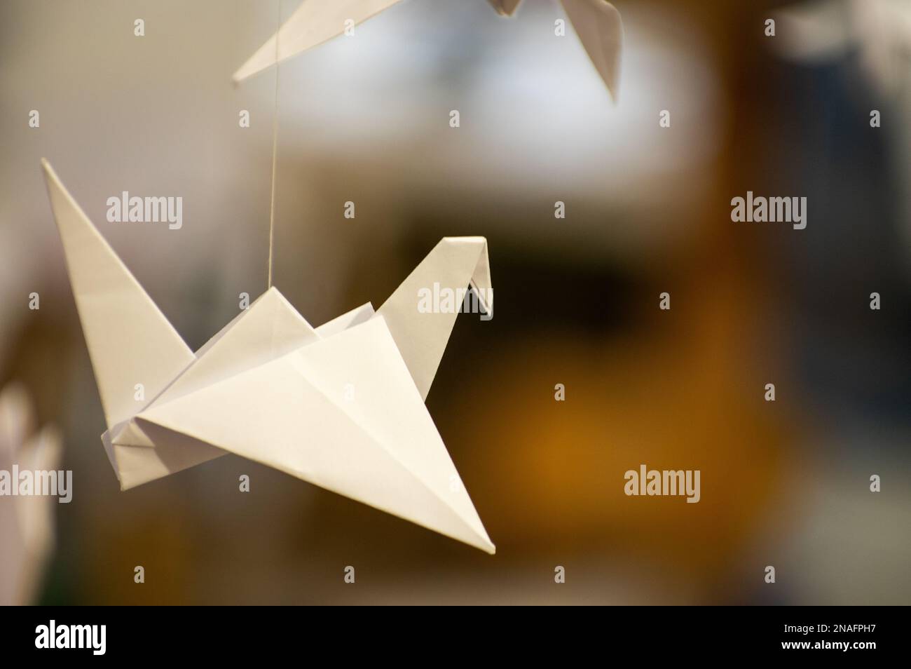 Japanese folded Origami cranes hanging on with strings. Hundreds ...