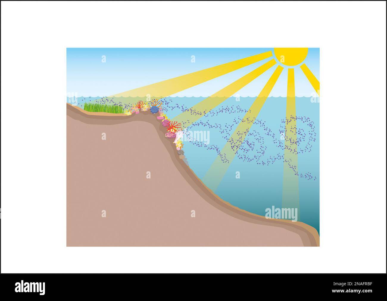sunlit zone illustration Stock Photo - Alamy