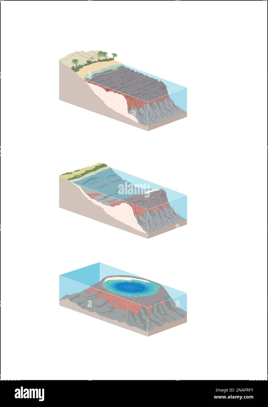 Three types of coral reef Stock Photo - Alamy