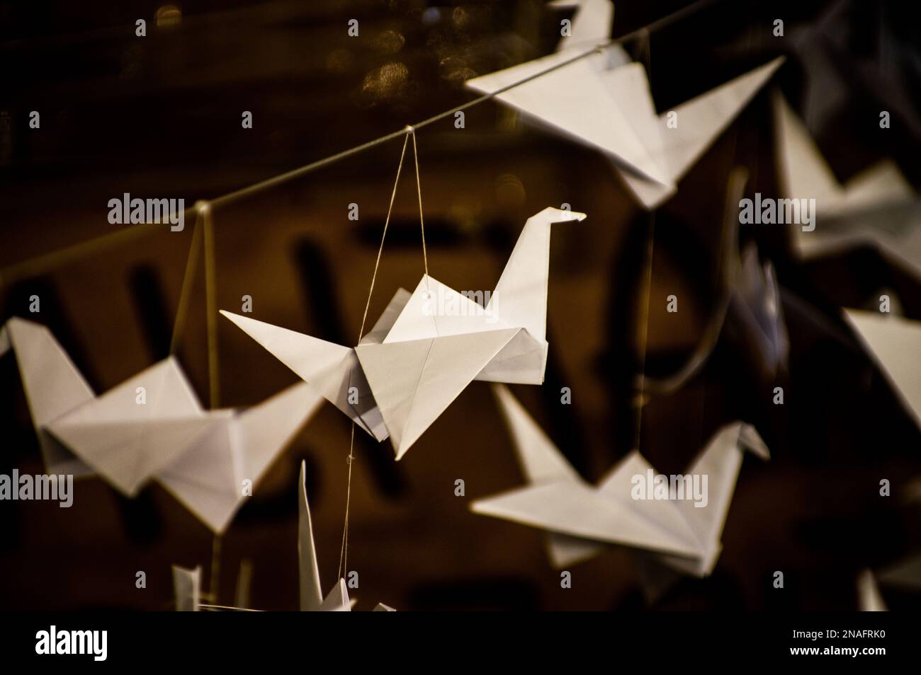 Japanese folded Origami cranes hanging on with strings. Hundreds ...