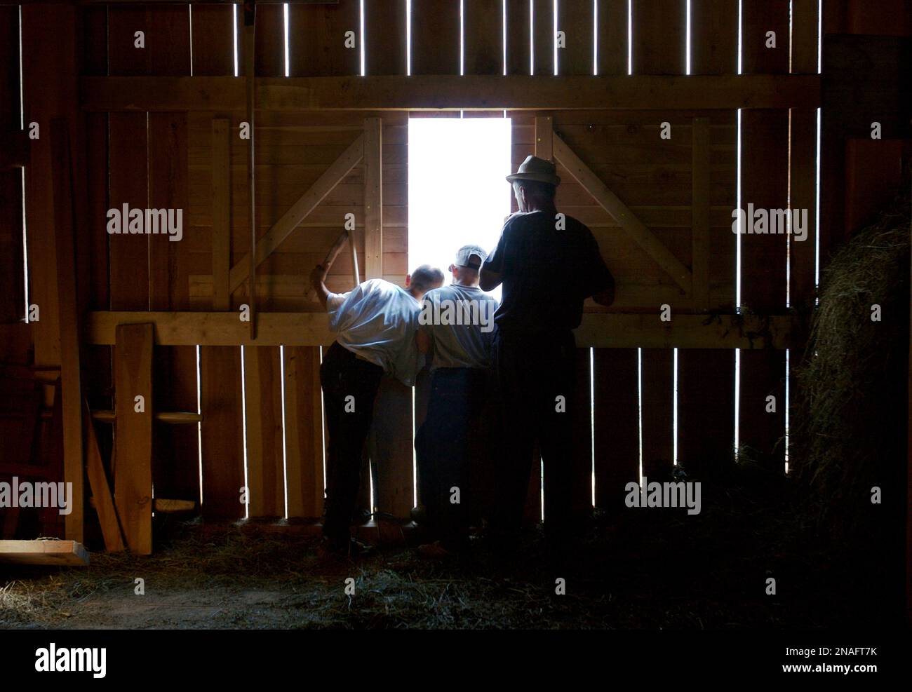 Two boys help their uncle on a farm in the Dolomites Stock Photo - Alamy