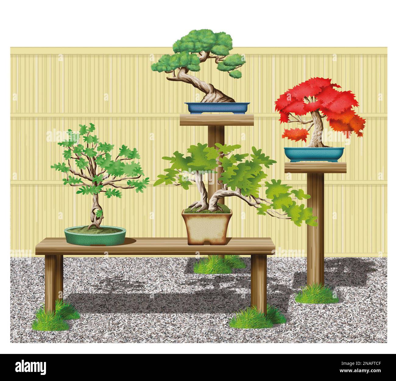 Outdoor bonsai display Stock Photo - Alamy