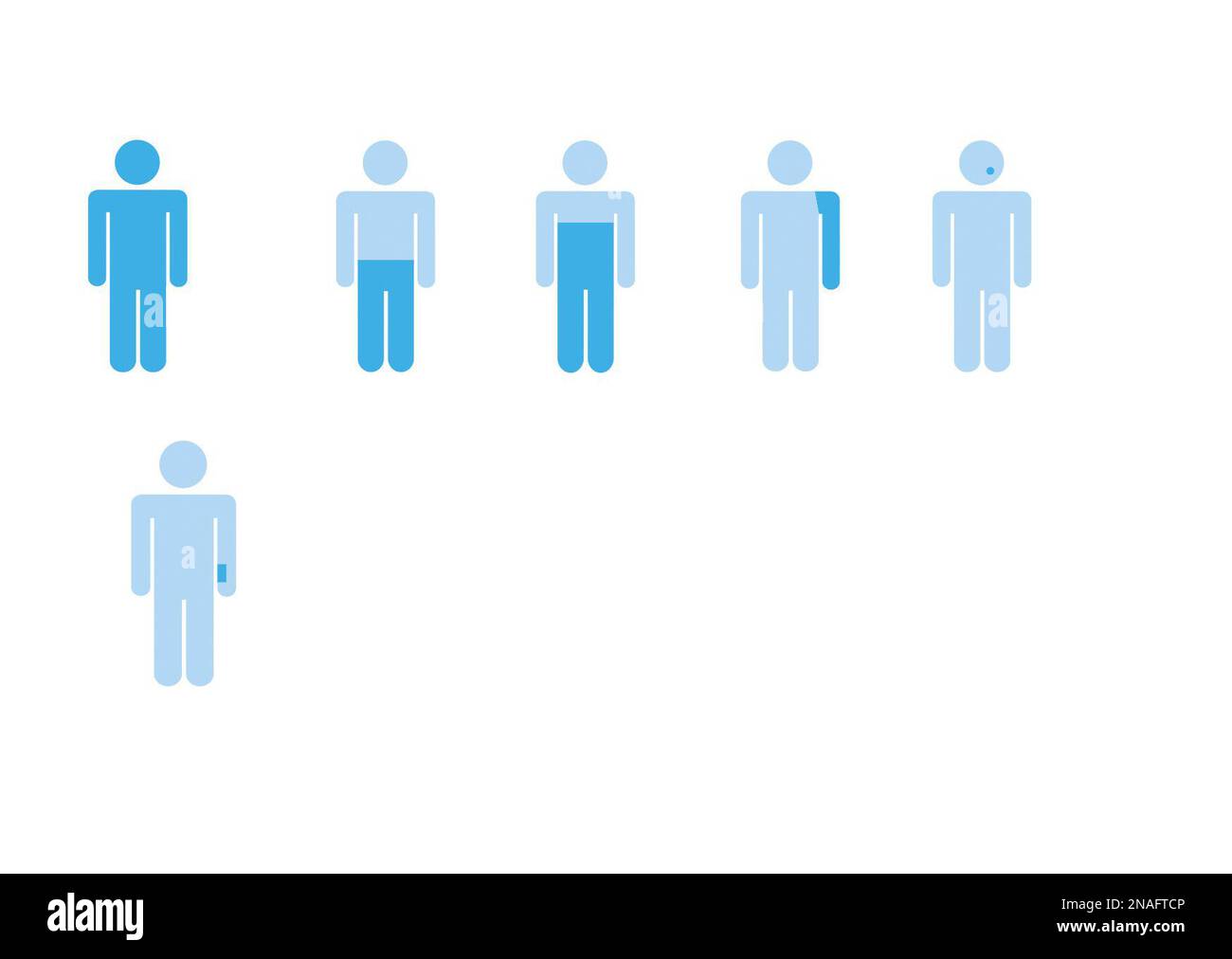 Six human figures with various parts of the body highlighted in each ...