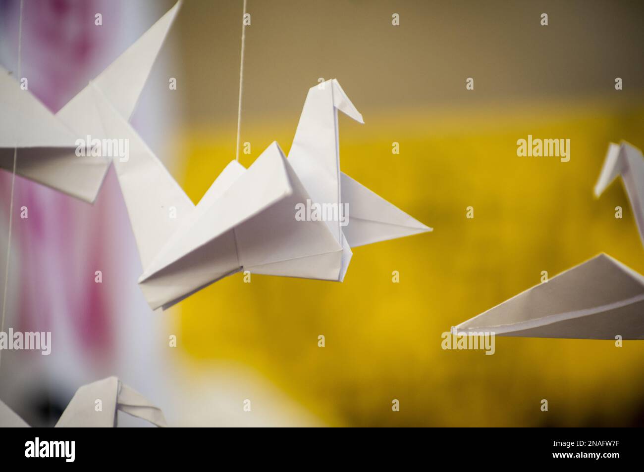Japanese folded Origami cranes hanging on with strings. Hundreds ...