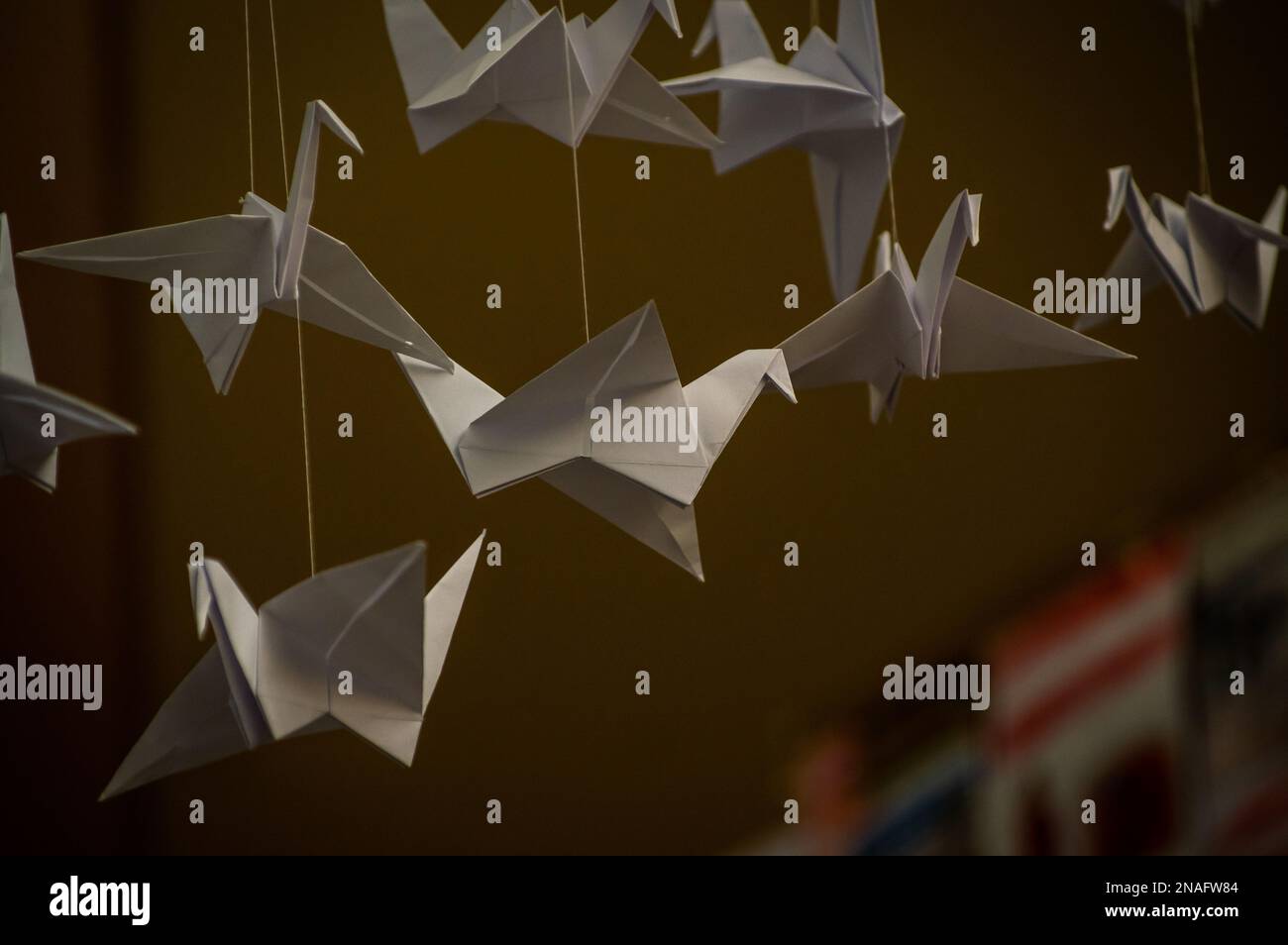 Japanese folded Origami cranes hanging on with strings. Hundreds ...