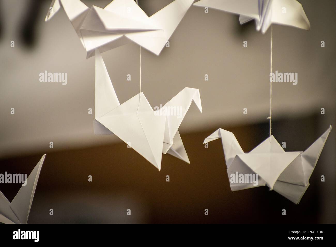 Japanese folded Origami cranes hanging on with strings. Hundreds ...