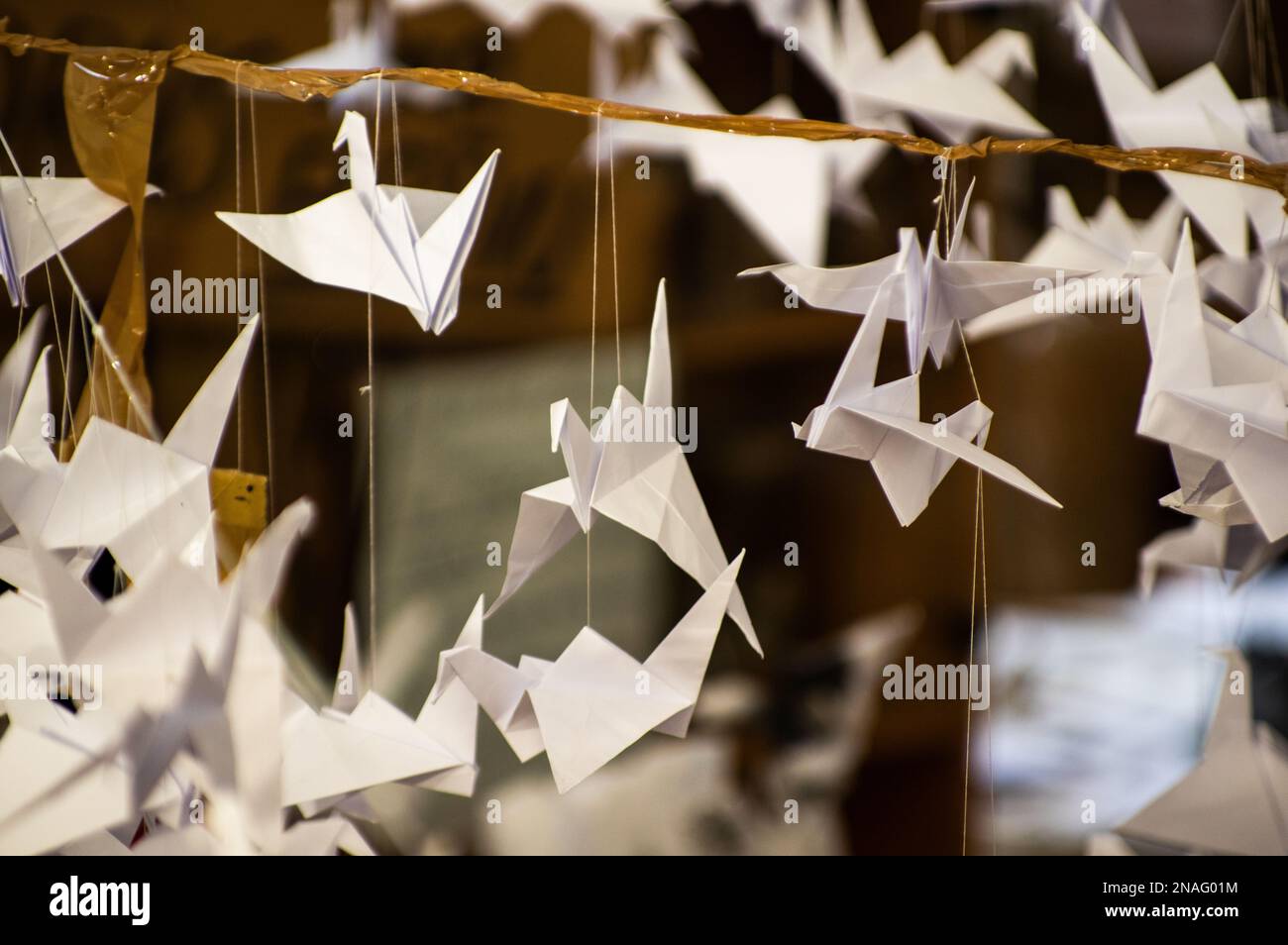 Japanese folded Origami cranes hanging on with strings. Hundreds ...