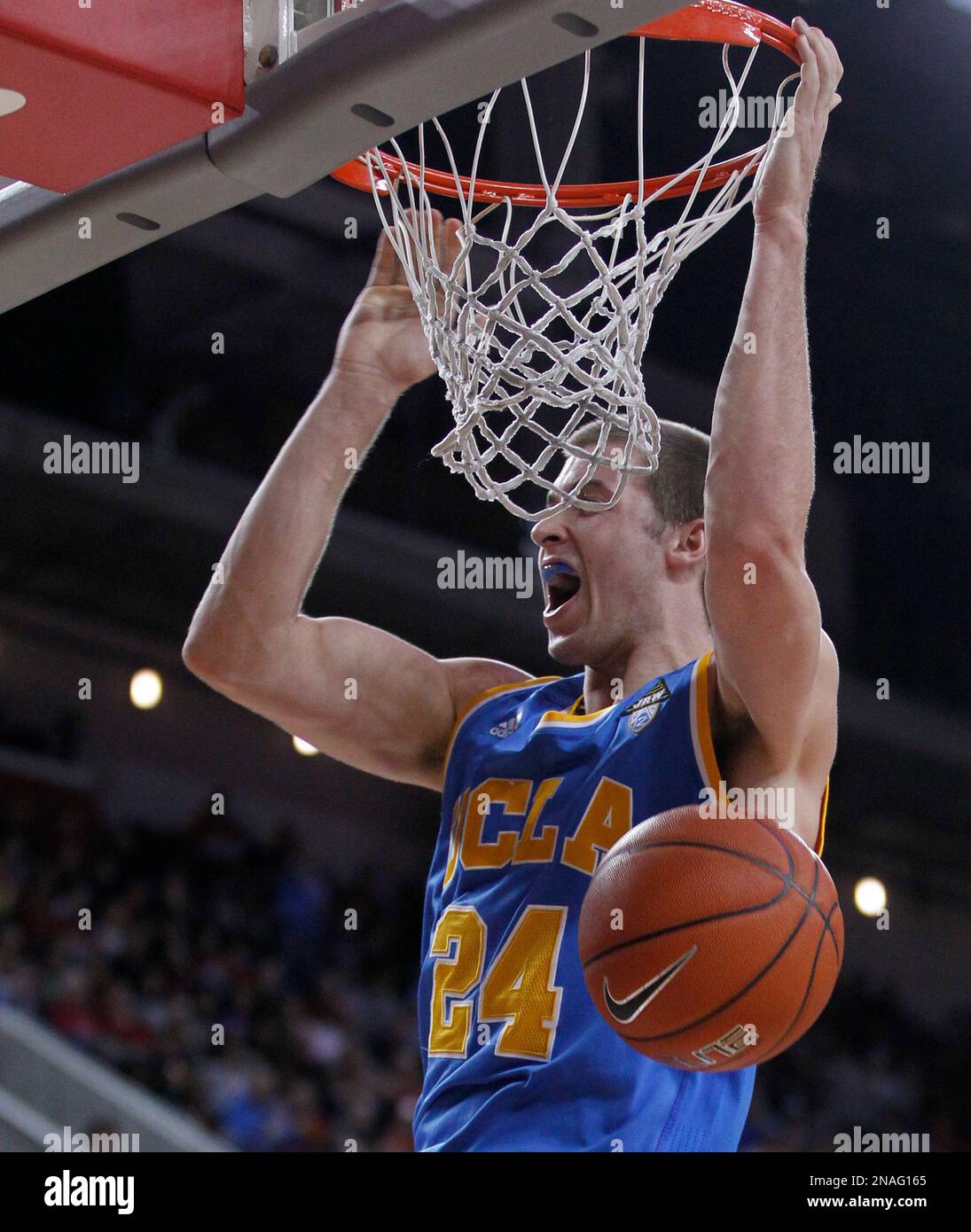 UCLA forward Travis Wear celebrates a dunk against the Southern ...