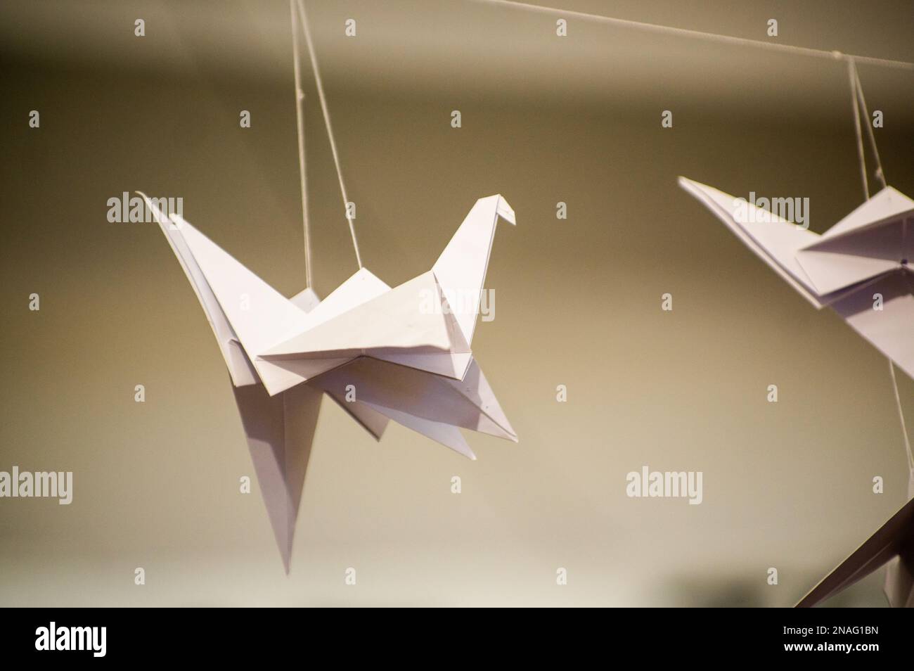 Japanese folded Origami cranes hanging on with strings. Hundreds ...