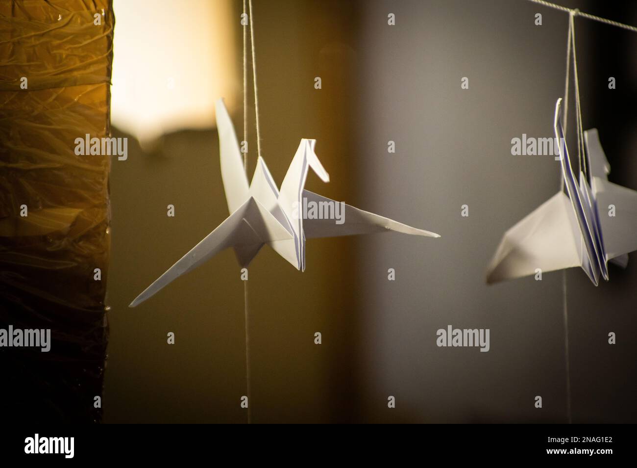 Japanese folded Origami cranes hanging on with strings. Hundreds ...