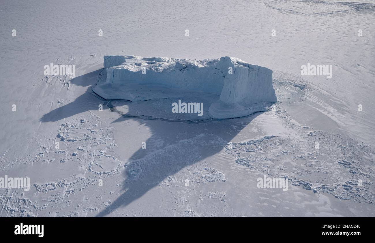 Icebergs frozen into the sea ice in Uummannaq fjord in north west ...