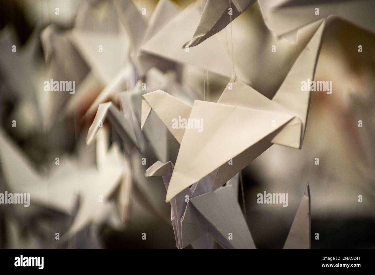 Japanese folded Origami cranes hanging on with strings. Hundreds ...