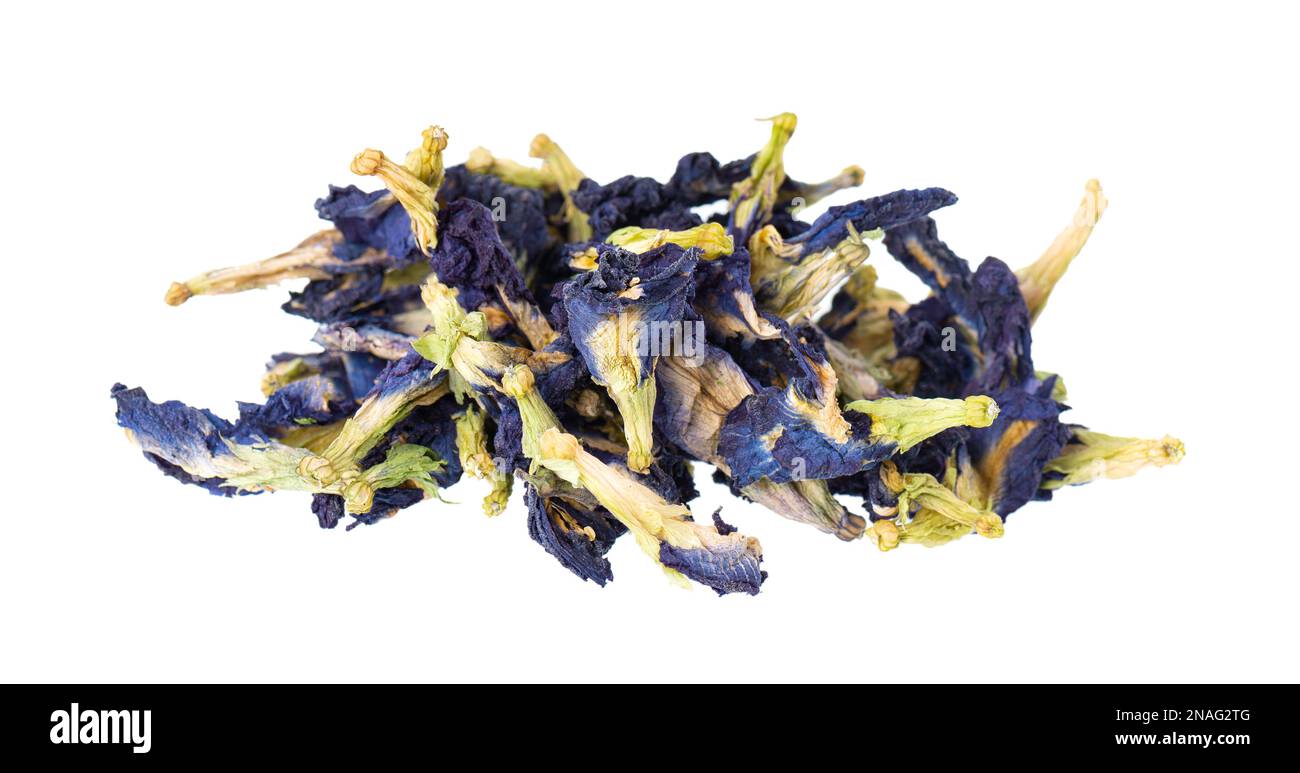 Butterfly pea flowers isolated on white background. Blue herbal tea ...