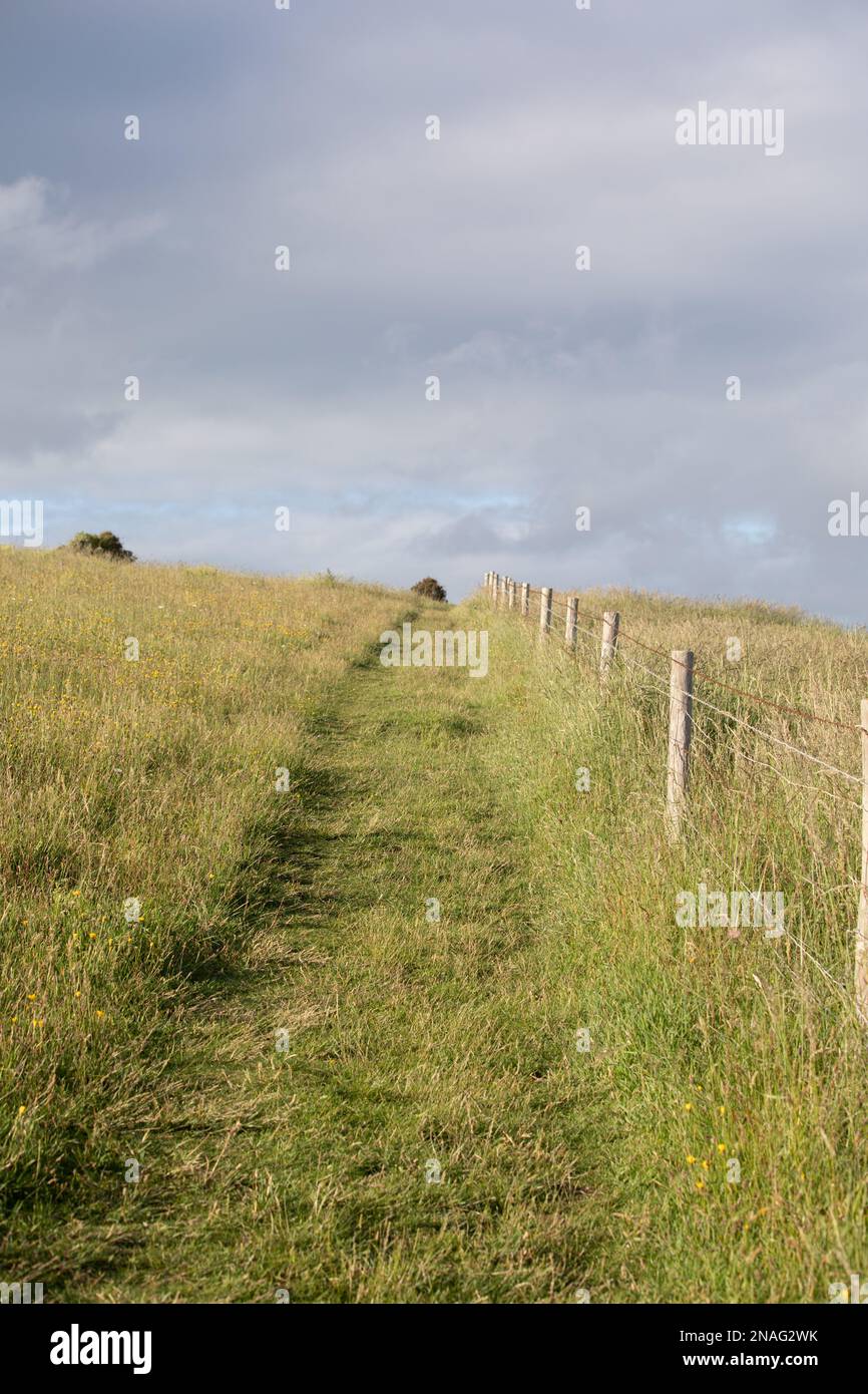 An empty grass path leading uphill looks relaxing and inviting for an ...