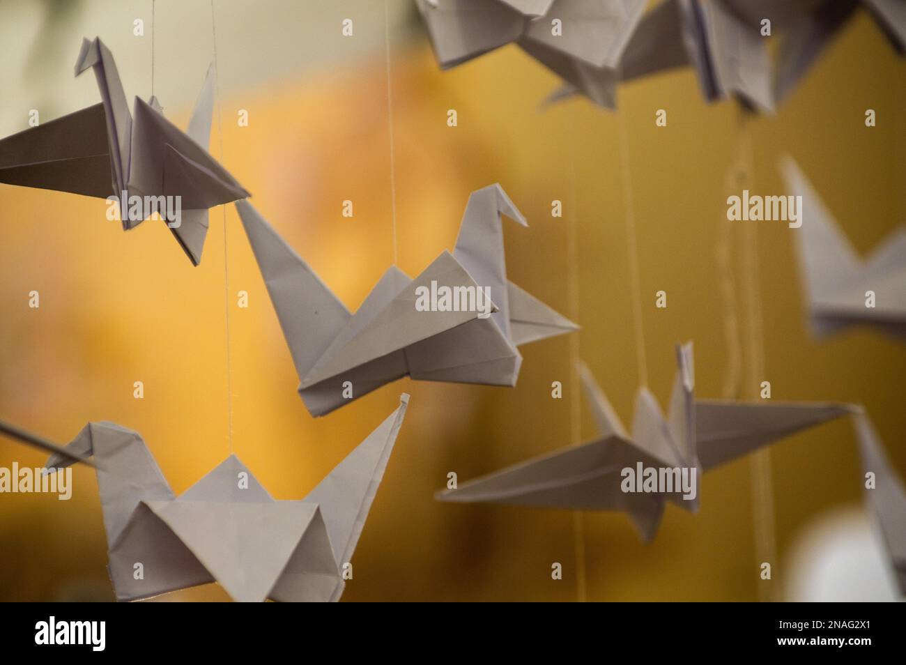 Japanese folded Origami cranes hanging on with strings. Hundreds ...