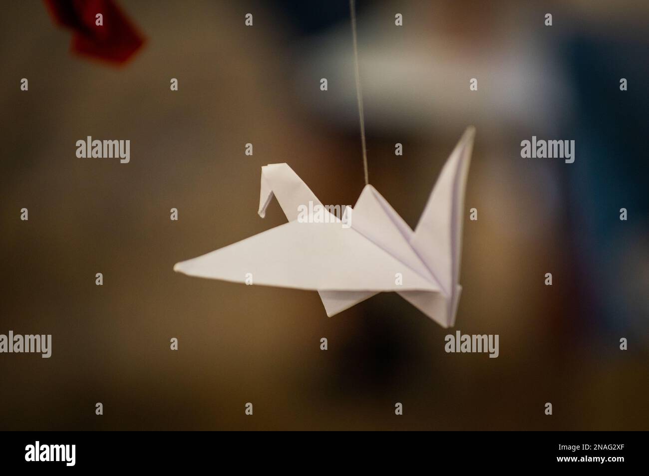 Japanese folded Origami cranes hanging on with strings. Hundreds ...