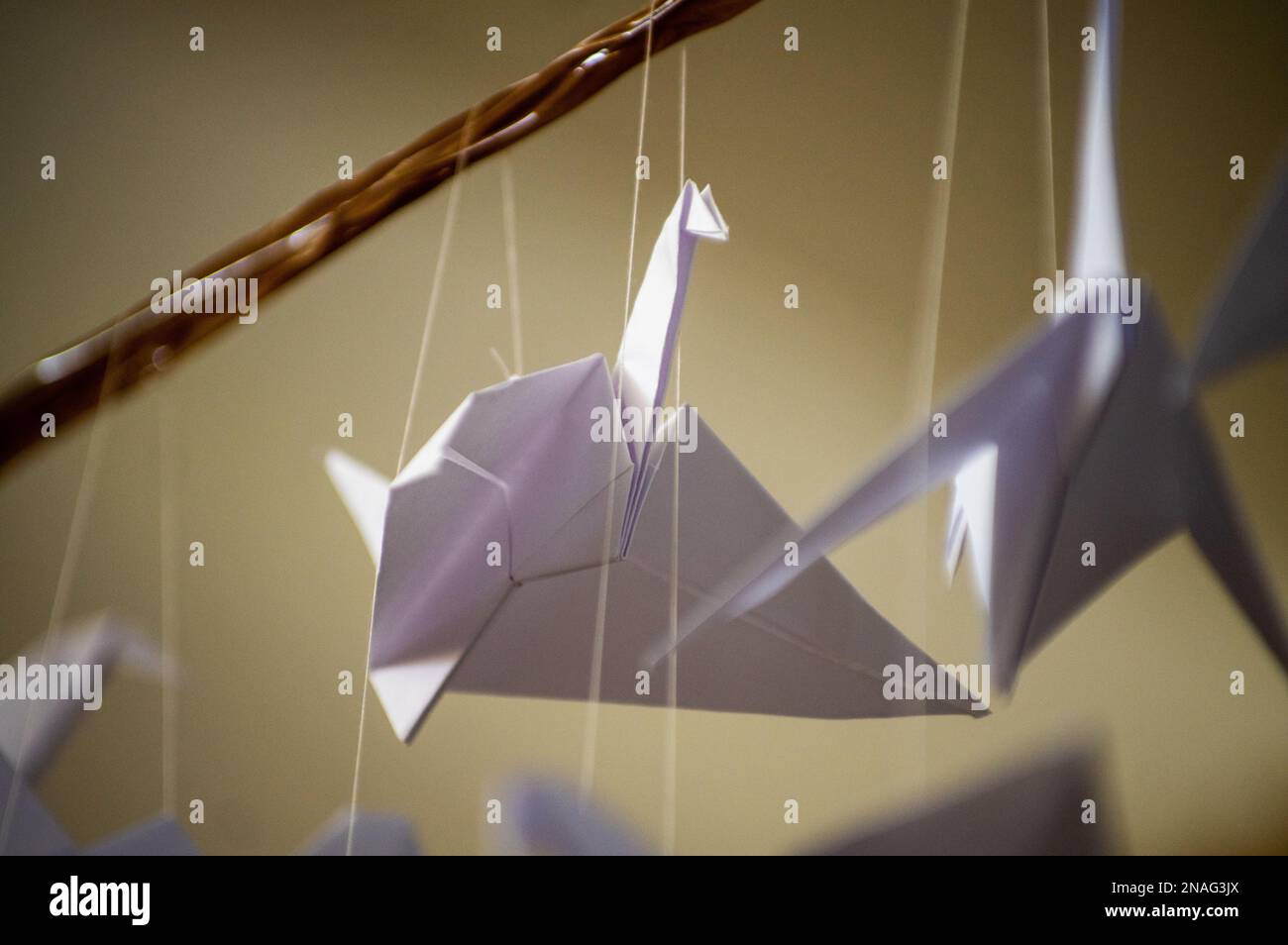 Japanese folded Origami cranes hanging on with strings. Hundreds ...