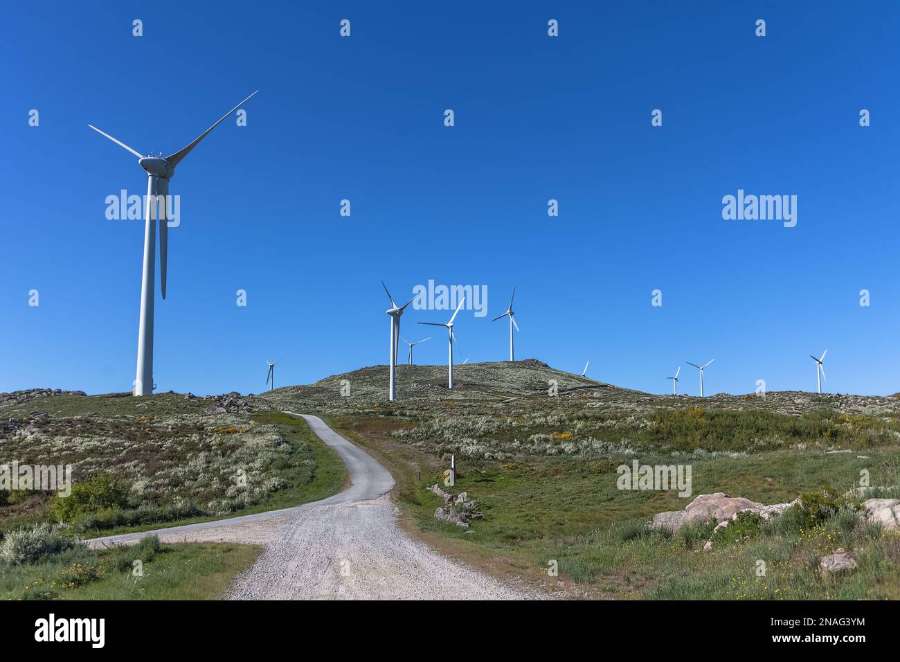 Sustainability theme, view at the top at the Caramulo mountains ...