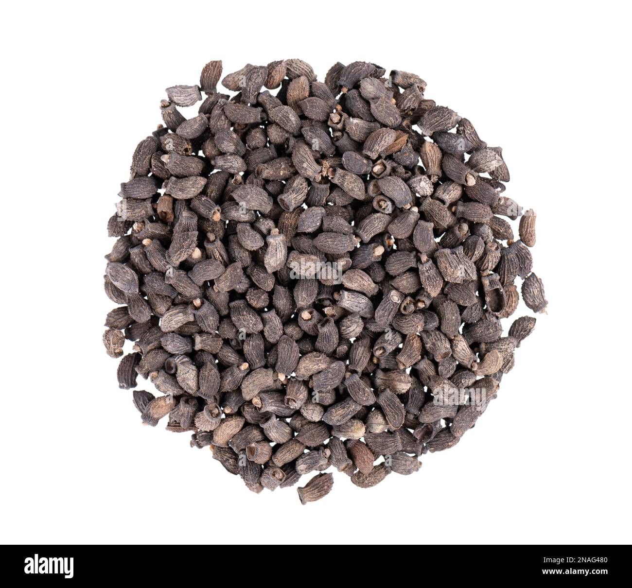 Borage seeds isolated on white background. Borago officinalis seeds ...