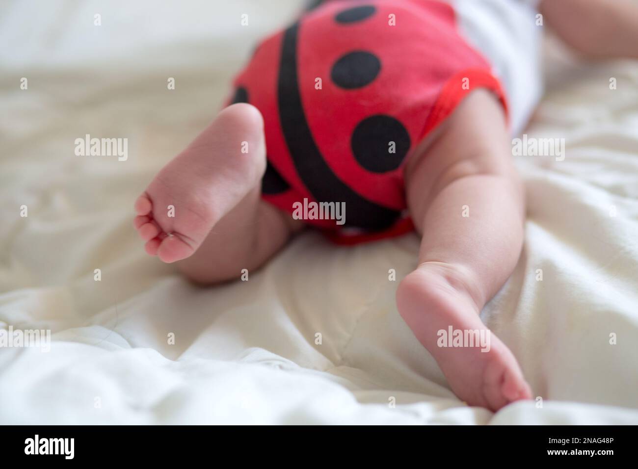 Booty baby in body in form ladybug. newborn baby is lying on belly ...