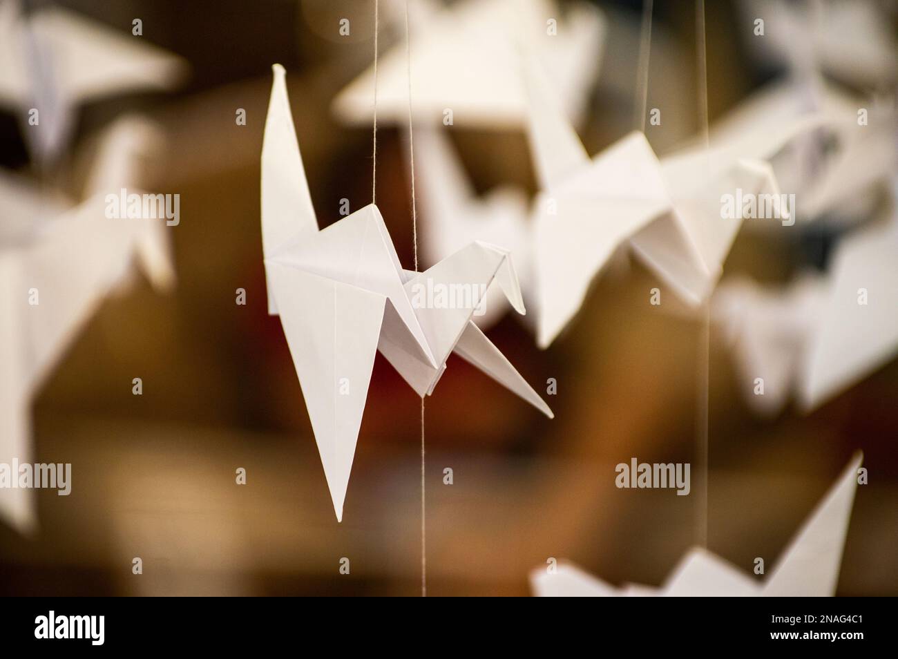 Japanese folded Origami cranes hanging on with strings. Hundreds ...