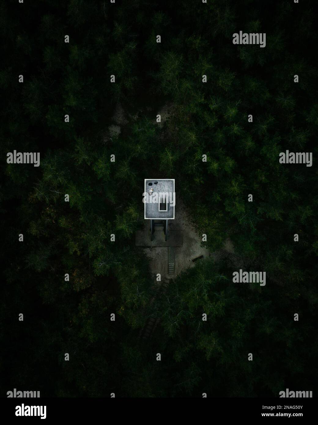 An aerial view of forest with dense trees Stock Photo - Alamy