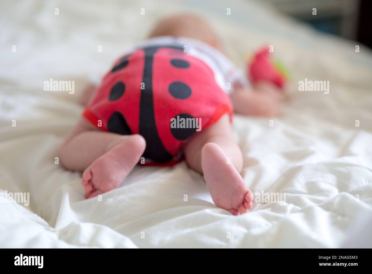 Booty baby in the body in the form of a ladybug. A newborn baby is ...