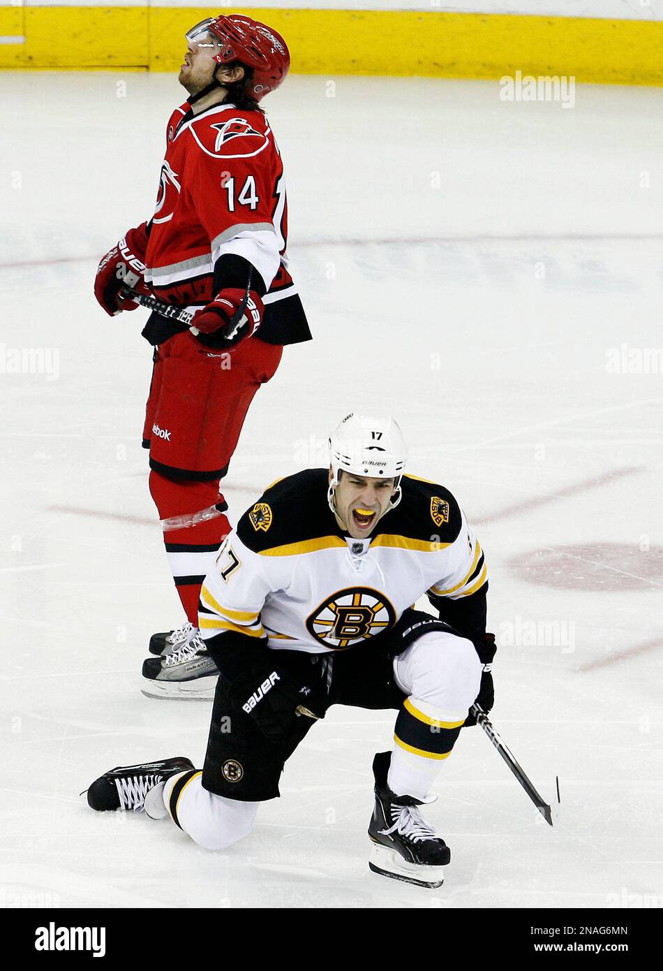 Boston Bruins' Milan Lucic celebrates his goal as Carolina Hurricanes ...