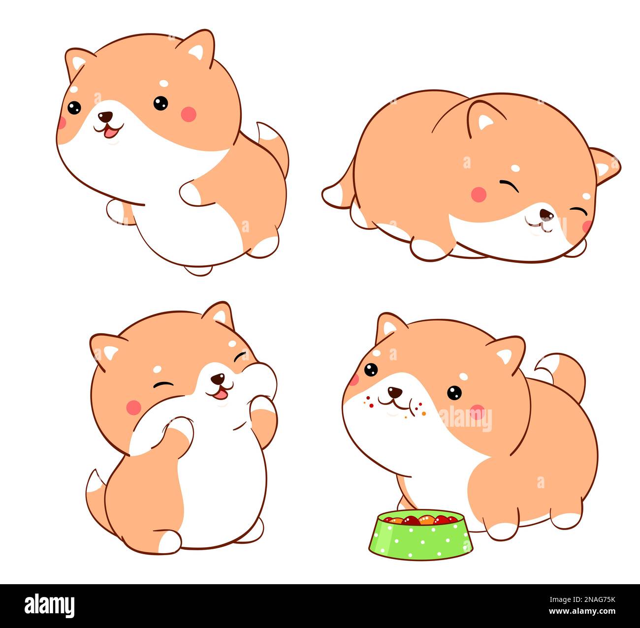 Set of cute fat dogs kawaii style. Collection of lovely little shiba ...
