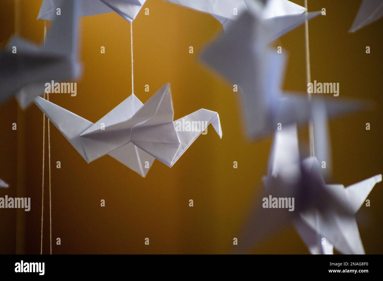Japanese folded Origami cranes hanging on with strings. Hundreds ...