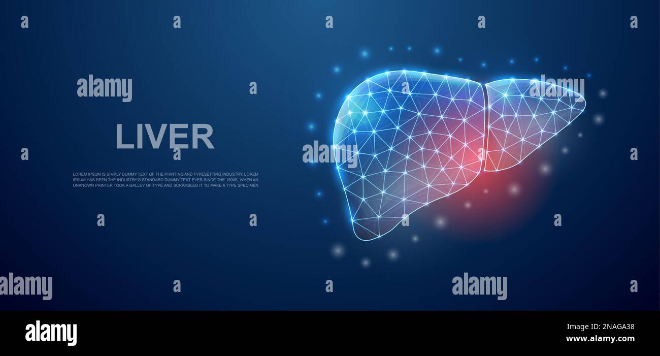 Liver 3d low poly symbol with pain center for landing page template. Liver pain design ...