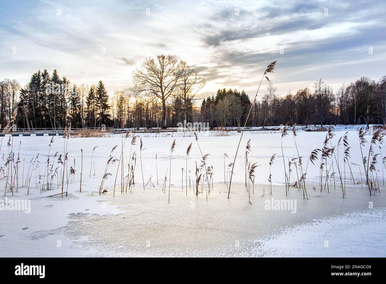 Kirkilai lakes in winter time.Lithuania Stock Photo - Alamy