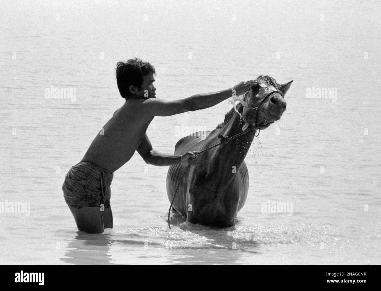 Refugee camp at a Phnom Penh, Cambodia on March 15, 1975. (AP Photo ...