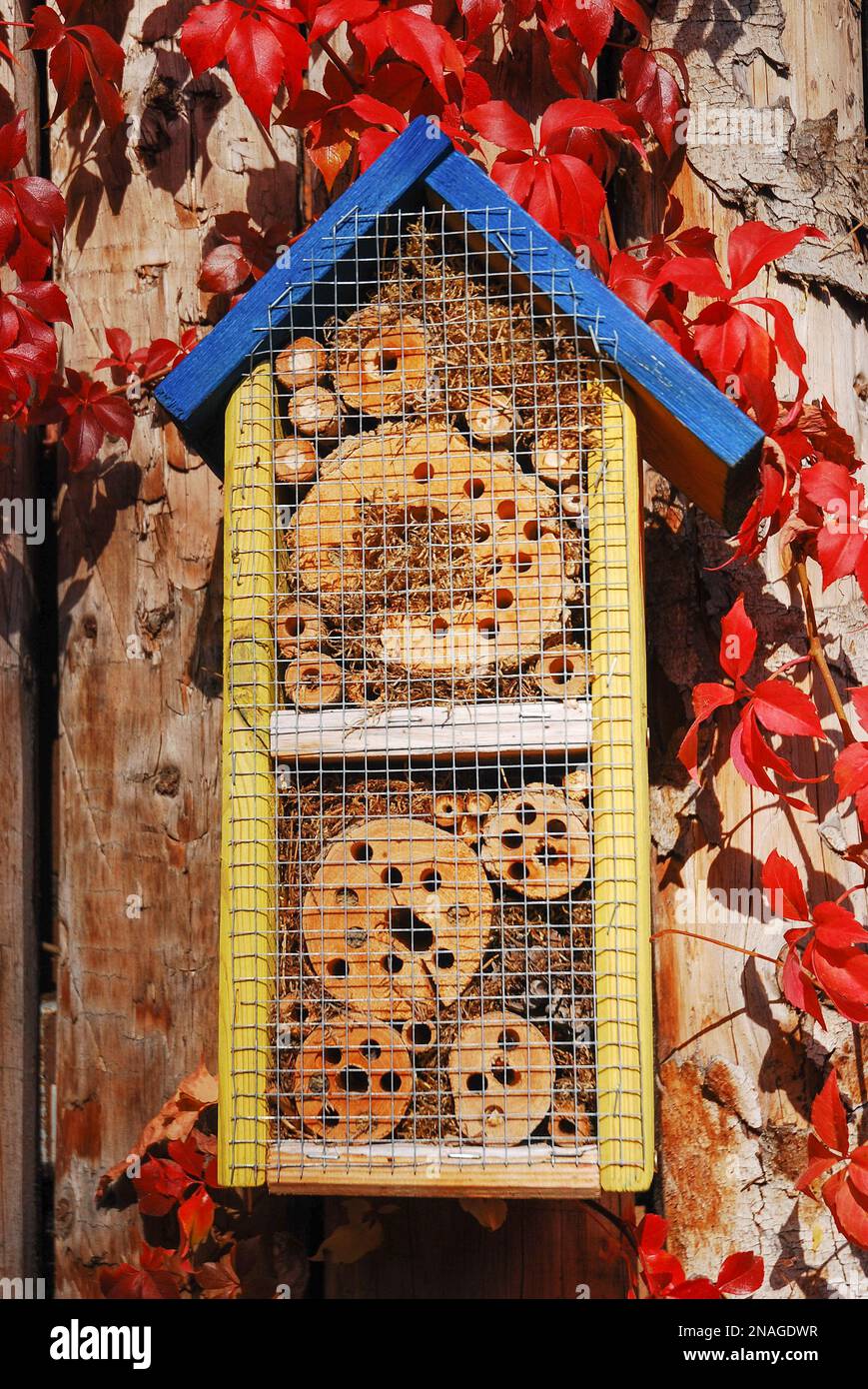 Bug hotel on wall hi-res stock photography and images - Alamy