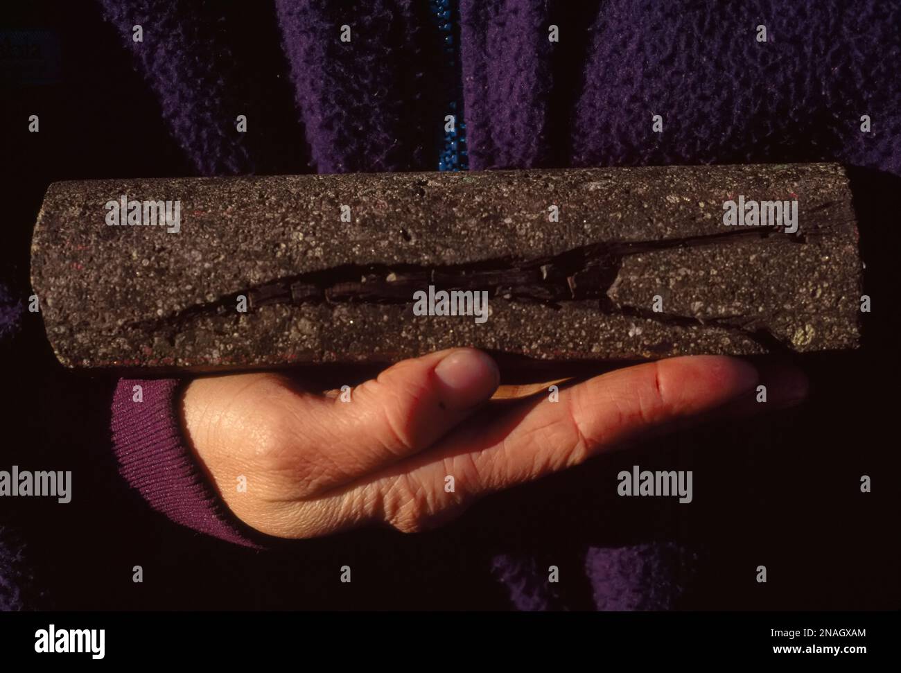 Black kimberlite core sample, part of diamond exploration in Canada ...